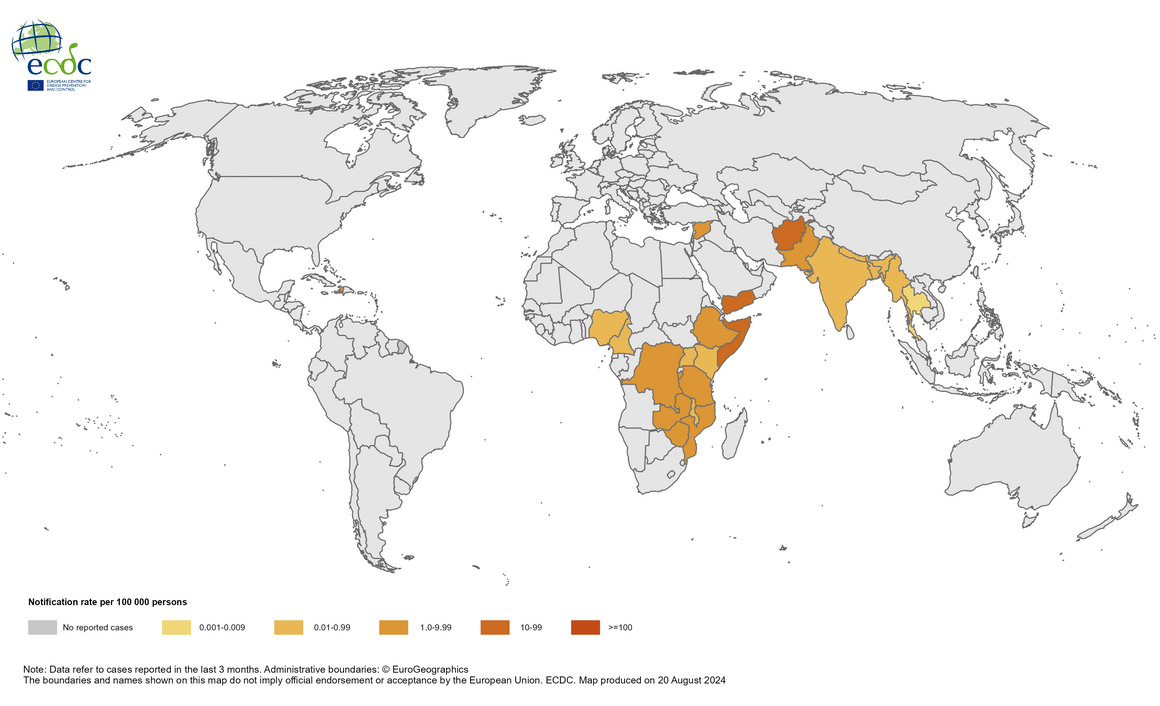 Cholera: insights from regions of crisis and success – Life In Humanity