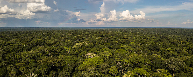 The Congo Basin under siege: mounting threats to the world’s second ...