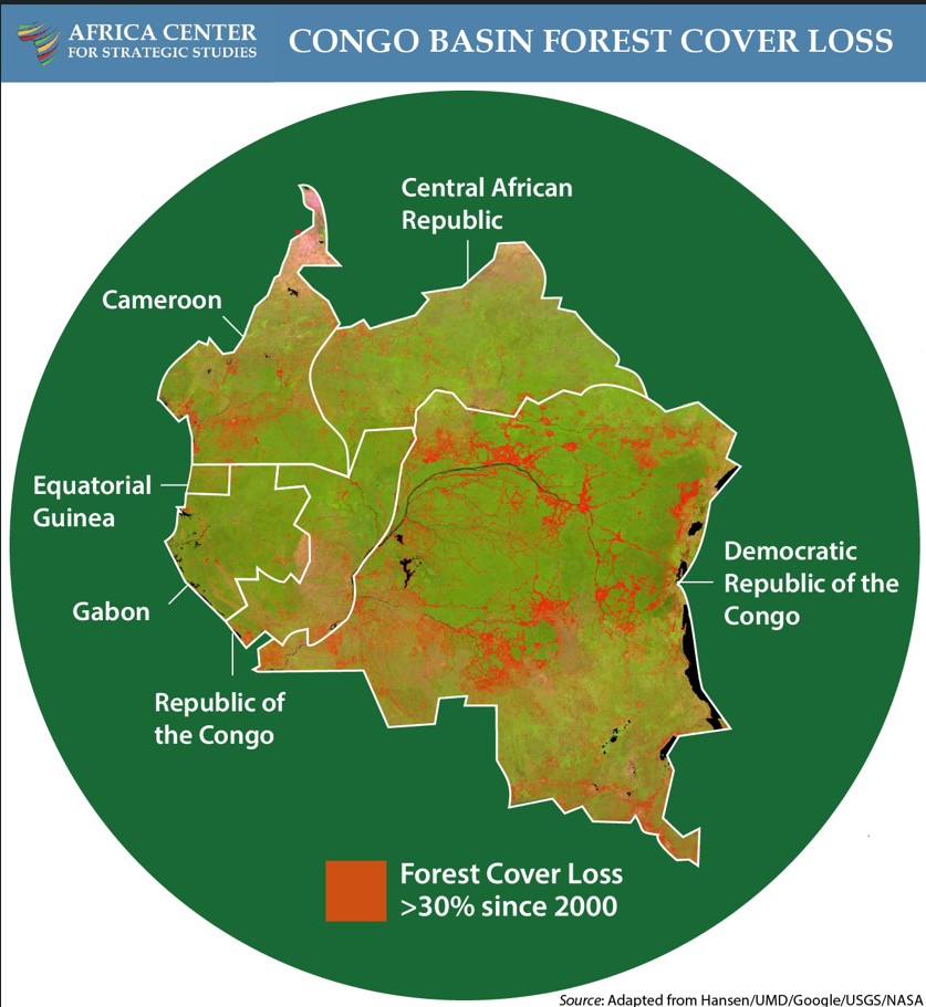 Turning the tide of the Congo Basin’s threats: strategies to preserve ...