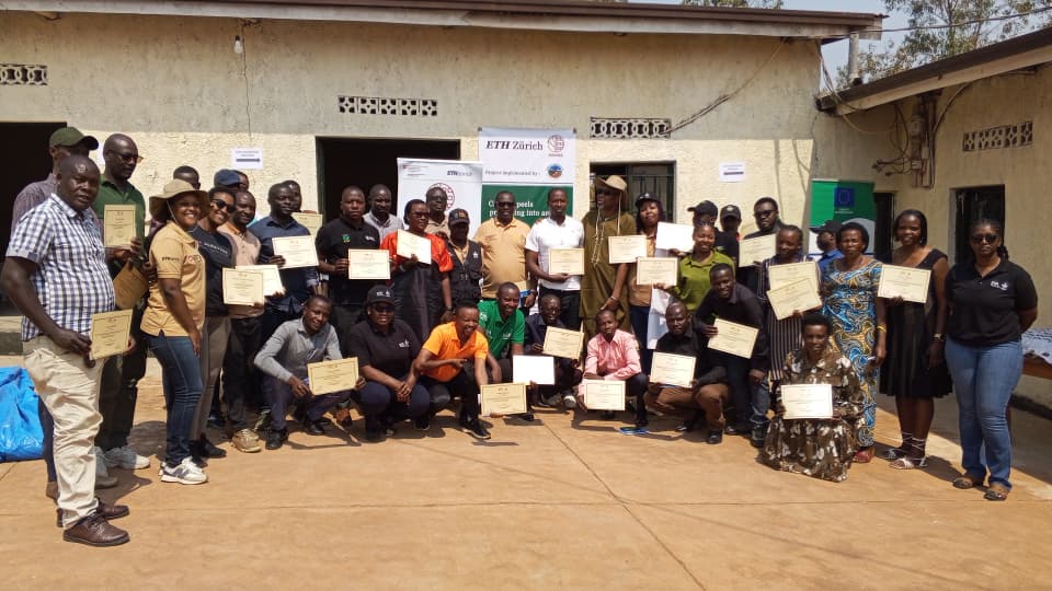 From rubbish to value: cassava peels are powering a new era of ...